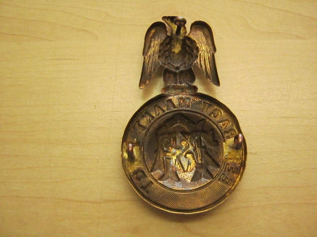 Other Badges & Insignia - ZAR helmet plate. for sale in Springbok (ID ...